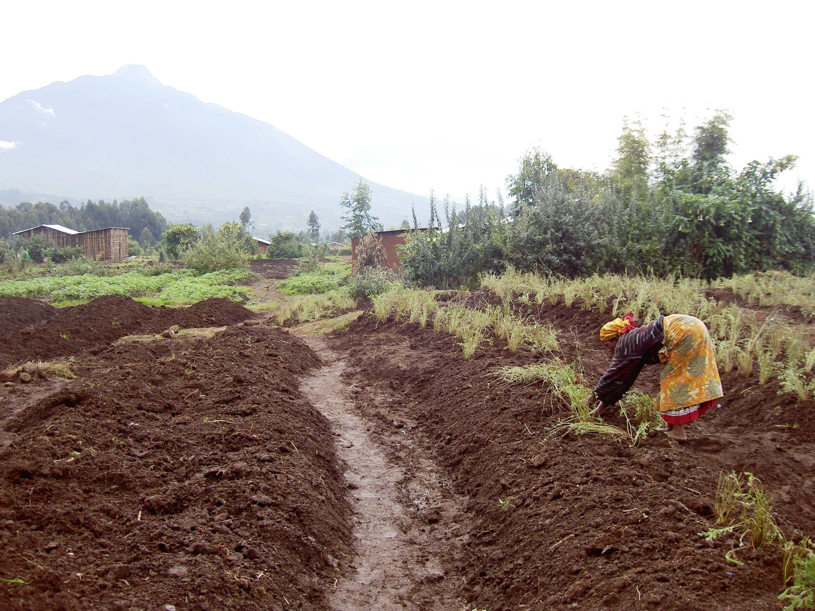 Lunch lecture: Land governance, commercial land acquisition and rural ...